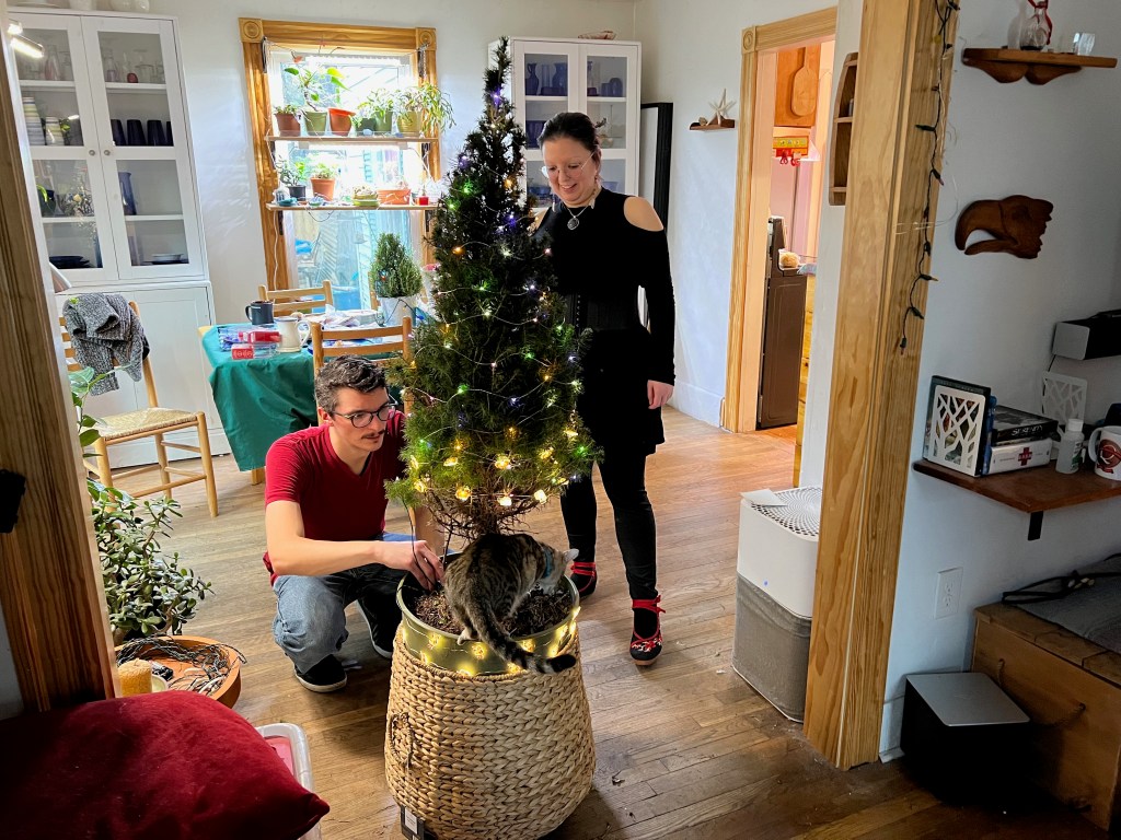 The Christmas Tree Hunt - IV - the tree comes home - Louis N. Carreras ...