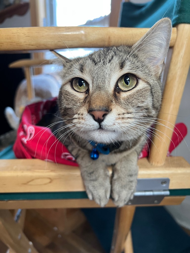 On Target - Louis N. Carreras, Woodcarver